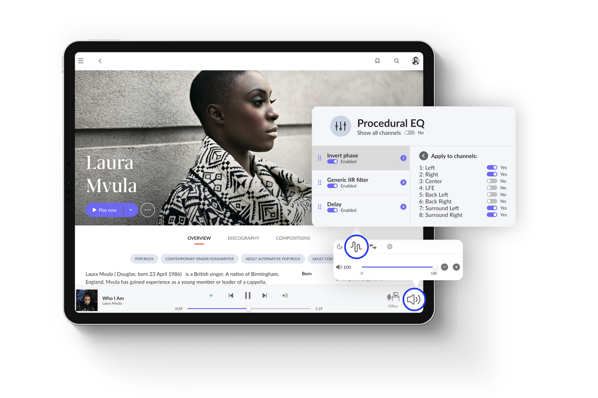 Roon for Music Professionals - Producer, DJ & Musician Software | Roon