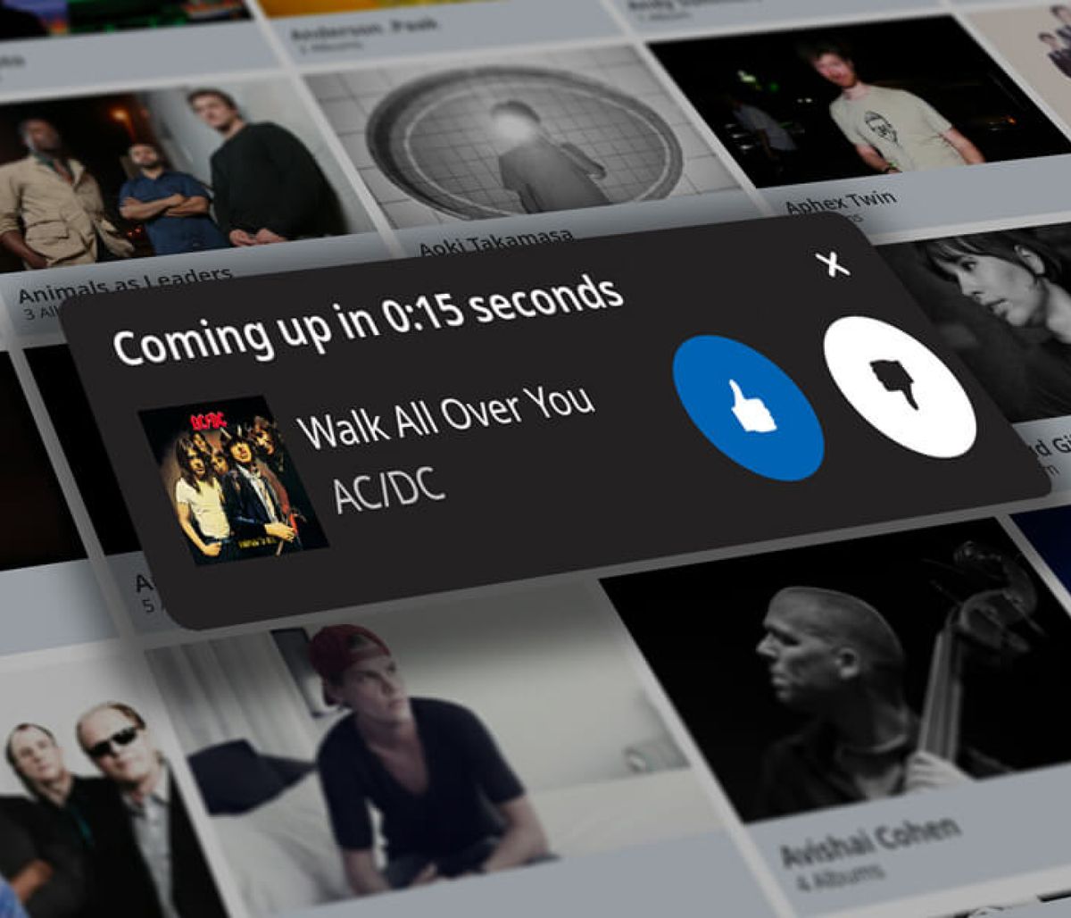 Roon Music Experience - Rich Metadata & Music Discovery Platform