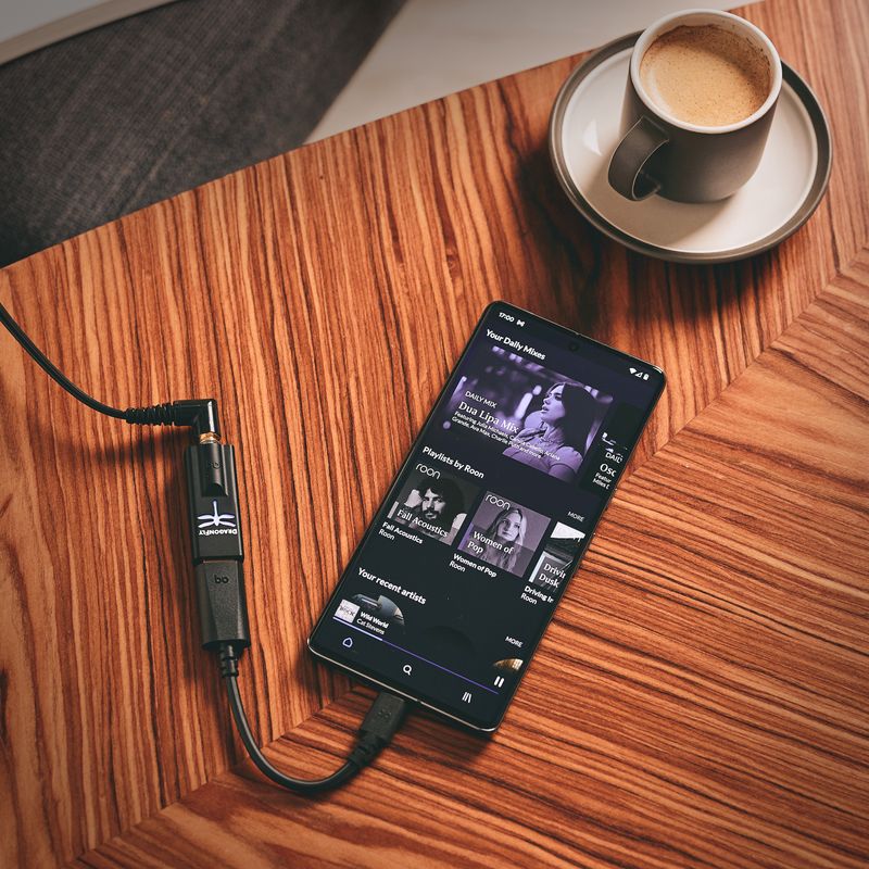 Roon ARC - Mobile Streaming App for Your Personal Music Library